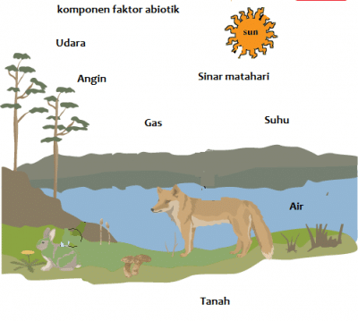 Pengertian Dan Ruang Lingkup Ekologi