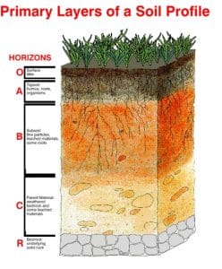 Definisi Lengkap Tentang Faktor dan Proses Pembentukan Tanah
