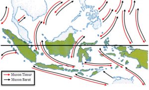 Pengertian dan Macam-Macam Angin Lengkap Dengan Gambar dan Penjelasan